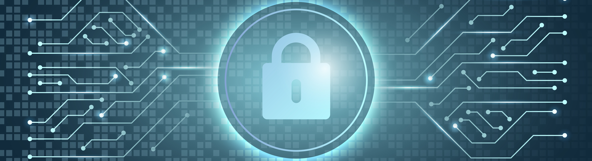 CipherTrust Application Data Protection dan CipherTrust Transparent ...